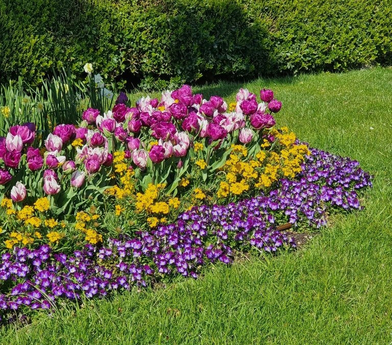 How to Keep Your Lawn and Garden Weed Free All Season Long - Marshall's ...