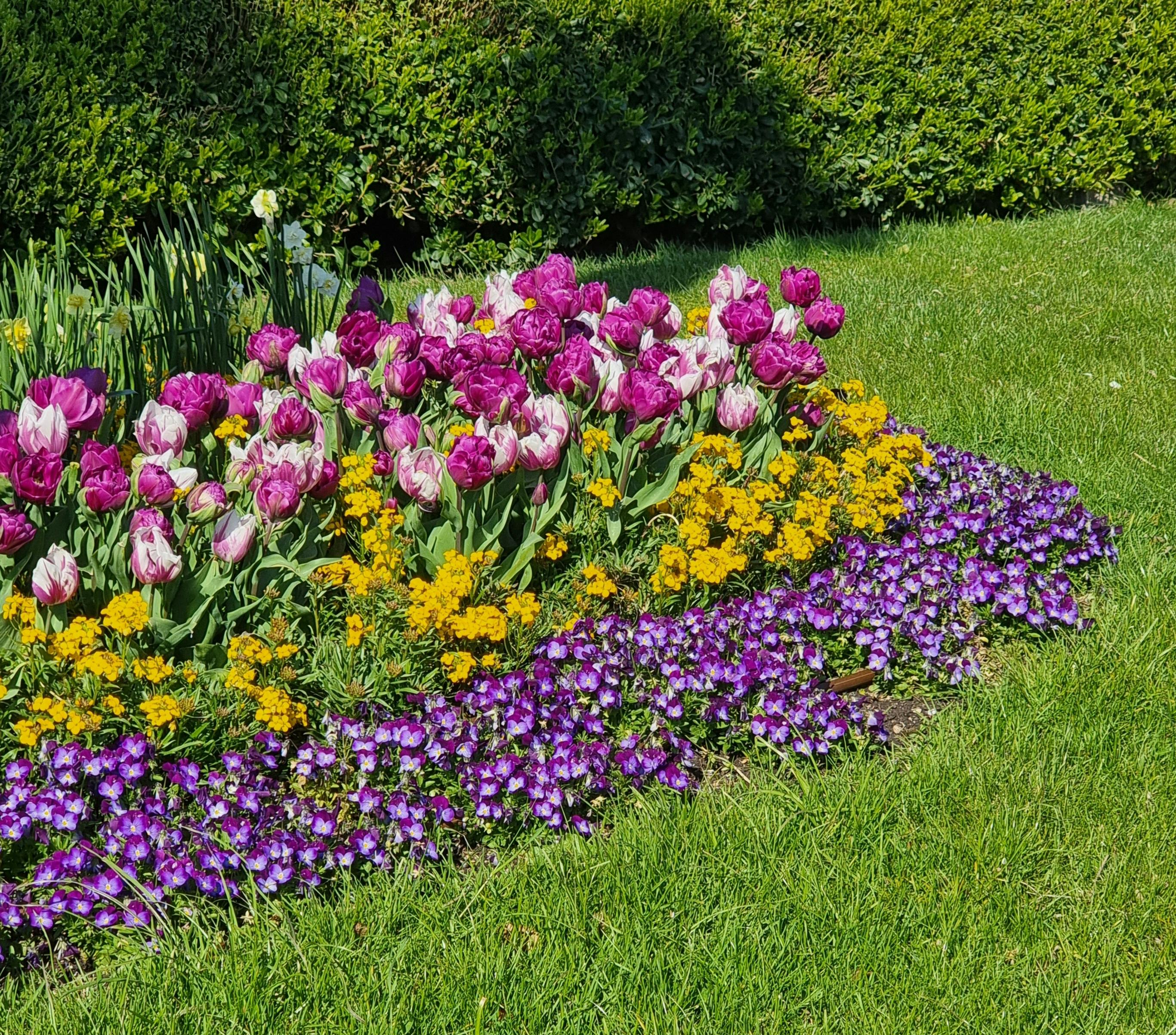 How to Keep Your Lawn and Garden Weed Free All Season Long - Marshall's ...